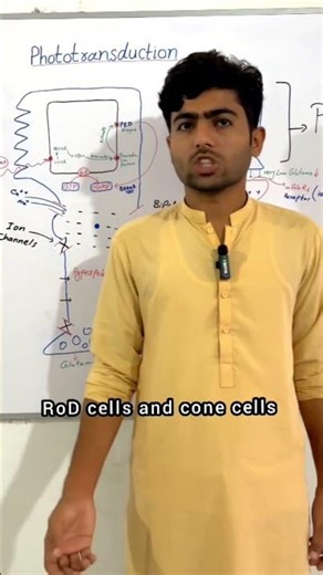 Your eys do this every single second #phototransduction #neuroscience #visionscience #eyescience