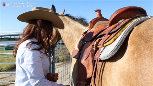 Turn your passion for horses into a career. Central Texas College’s Associate of Science in Equine Management combines hands-on learning with industry-focused coursework, preparing students for real opportunities in the equine field. Students train on CTC’s 565-acre main campus in a fully equipped horse barn, gaining daily experience in horse care, health, nutrition, behavior, and facility operations, learning by doing from day one. 📸 Program photos: https://flic.kr/s/aHBqjCBe3c 🐴 Degree detai