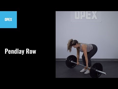 Pendlay Row - OPEX Exercise Library