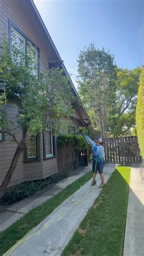 Second Story Window Cleaning With No Ladders – Pure Water System In Action!