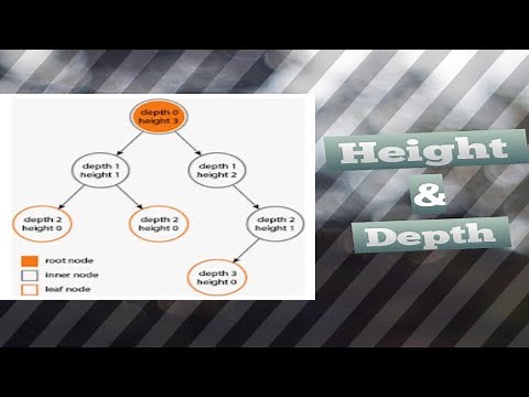 Height and Depth of the binary tree.