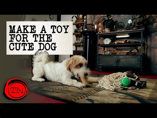 Taskmaster: Make the Best Dog Toy; Intermediate Likes and Dislikes