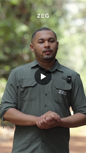 Pantera Fire Monitoring Tower Boosts Wildfire Prevention in Brazil | ZEG | Zero Emission Goal posted on the topic | LinkedIn