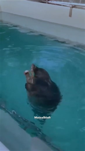 Good Songs & Music on Instagram: "He understood the assignment  Song Name - Careless whisper Follow @musicalblush for more"