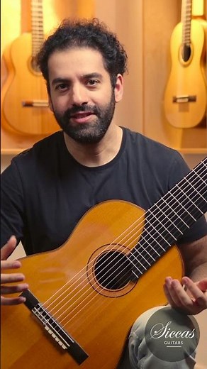 Ever Seen a 10-String Classical Guitar?! 🤯 Kazuo Sato 1976