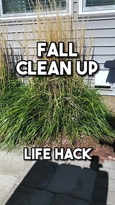 5.1M views · 10K reactions | Life HACK for fall clean up! 勞 | Work smarter, not harder 易 #fallcleanup #lifehacks #landscaping #hedgetrimmer #yardwork #diy | Ope. It’s Mow Time | Facebook