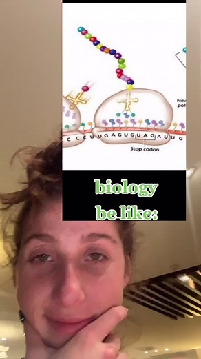 Exploring Protein Quaternary Structure in Biology and Biochemistry