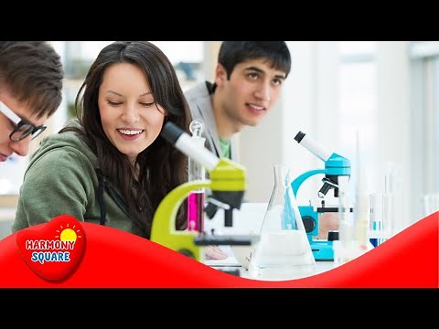 Making Observations - More Science on the Learning Videos Channel