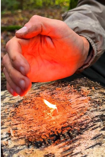 This is How You Make Fire in the Rain 🌧🔥 #camp #survival #bushcraft #fire #skills