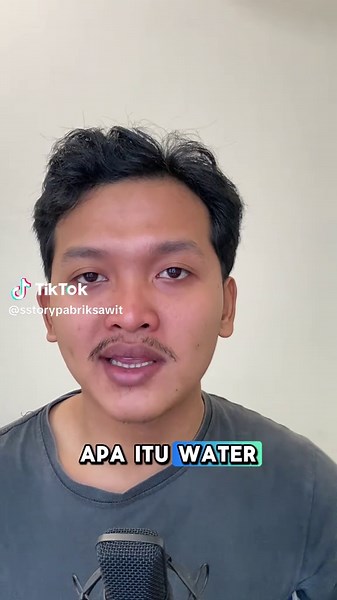 Water Treatment Plant and Palm Oil Processing Insights