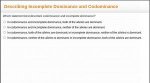 Describing Incomplete Dominance and CodominanceWhich statemen... | Filo