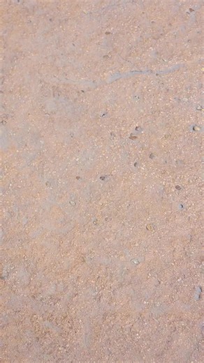 Stoick the Vast: Honoring a Legendary Chief