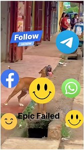 Epic failed 💯🥳💥😇😅🤑😝🥰🤣😆#fail #funny #fails #memes #funnyvideos #epicfail #failvideo #meme #lol #failarmy #comedy #fun #funnyfails #funnymemes #love #viral #failure #humor #failvideos #video #follow #crash #bestfails #funnyfail #instagood #hilarious #failcompilation #failsvids #failvids #day | Rajesh Verma
