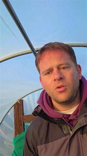 Growing Spring Onions from Kitchen Scraps #gardening #sustainability #diy