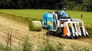 Amazing machine - Rice reaper | Amazing Machine