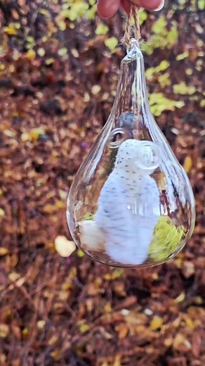 A little Snowy Owl came together yesterday and I am so pleased with him. There is just something about tiny things that pulls at my heartstrings. I love how much personality can fit into something so small. #needlefelting #snowyowl #feltedowl #woolsculpture #needlefeltedornament #rusticfiberacademy #fiberart #woolart #owlornament #handmadeholiday #makersgonnamake #miniatureart #slowcraft #feltedanimals | Rustic Fiber Art