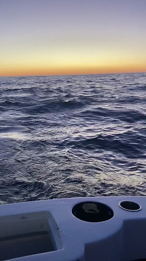 Esto es lo qué pasa cuando dos ballenas se acercan a alguien que le tiene TERROR al mar abierto #capcut #ballena #loscabosmexico #SorpresaQuaker