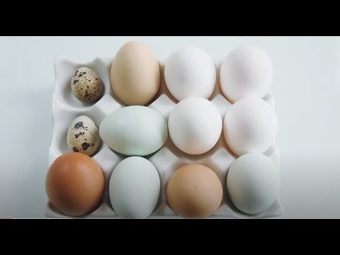 Lesson 1 - How to make Delia's Soft and Hard Boiled Eggs