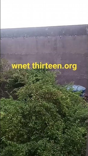 wnet thirteen.org