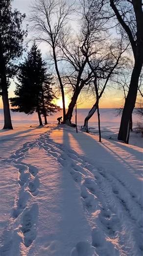 This clip takes us right back to the moment we bet on ourselves and went full-time doing tree work. The growth, the lessons, the people, it’s been unreal. As we head into a new year, we’re feeling more grateful and motivated than ever. If you’ve supported, shared, hired us, or cheered us on, THANK YOU. Follow along as we keep building something we’re insanely proud of. 2026, let’s do this. 🌳🪓🦺💪 #tree #treetrimming #SafeAndEfficient #experts #treeremovalexperts #treeservicecompany #trimming #