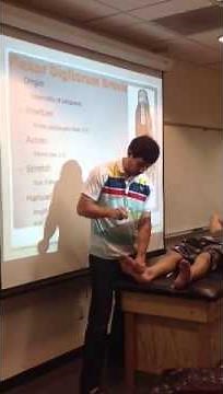 Flexor Digitorum Brevis