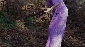 The blood splattered_ bride 1972 English language version.