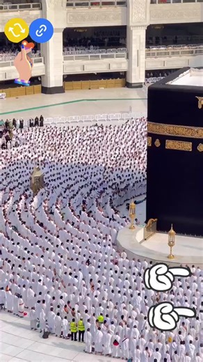 Exploring the Teachings of Muhammad ﷺ