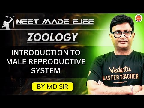 NEET 2025 | Introduction to Male Reproductive System | MD Sir