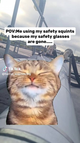 Humorous Take on HSE and OSHA Oversight