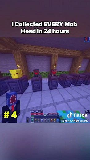 Collecting Every Minecraft Mob Head in 24 Hours