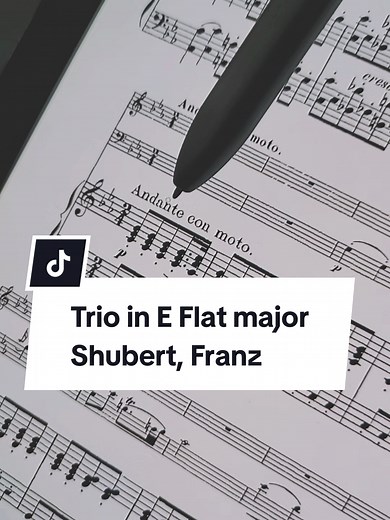 Exploring Schubert's Trio in E Flat Major D.929