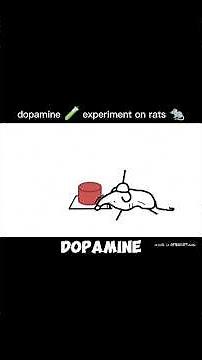 Creepy Rat Experiment That Reveals Nature