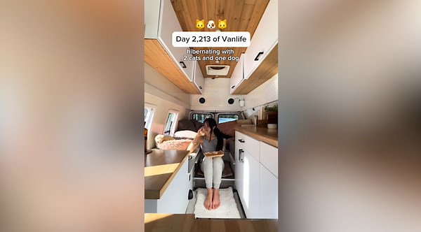Millennial Shares 'Deeply Rewarding' Life On Road With Two Cats And A Dog