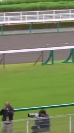 #fy #fyp viral #horseracing #brokeleg #died #horse #2023 #horsefails #fails #racing