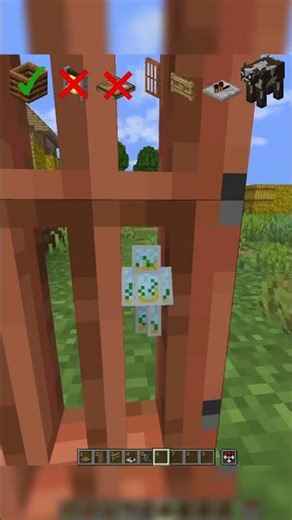 Minecraft - Can I Fit??