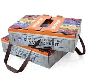[Hot Item] Custom Corrugated Cardboard Fruit Packing Paper Carton Boxes
