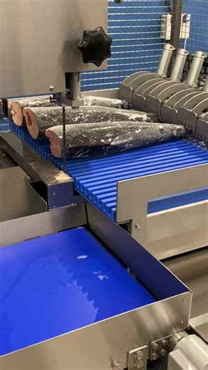 Exploring the Beauty of Saudi Arabia