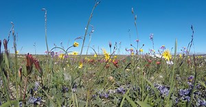 Video by Magda Ehlers on Pexels