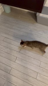 Roly poly butterball ❤️ | Cubby and Friends