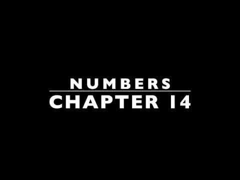 Numbers. Chapter 14