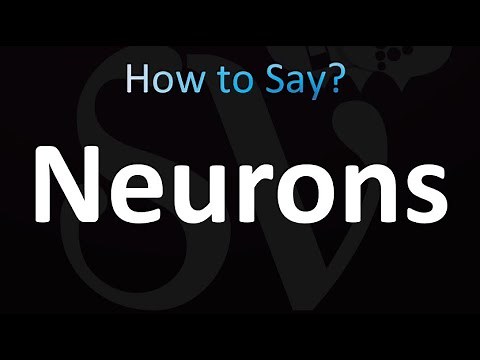 How to Pronounce Neurons (Correctly!)