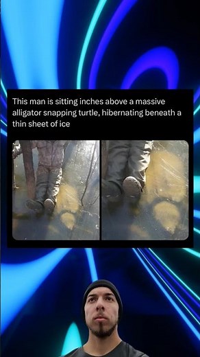 Sitting above snapping turtle😱#memes #snappingturtles #scary