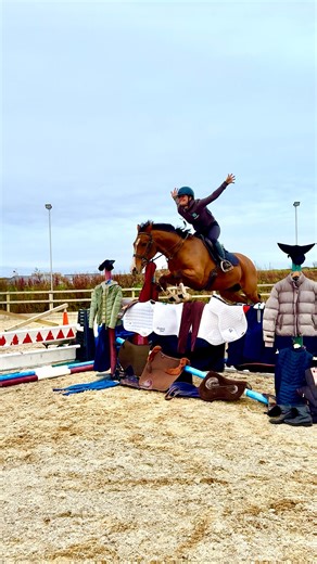 Declutter day 🧹🐴 Tack room transformed, listings live on @equiptapp and Charlie’s new hobby is jumping my for-sale pile 😂 🎥 New vlog’s up now – link in bio! #ad #Equipt #TackRoomTidy #EllaHorses | Ellahorses