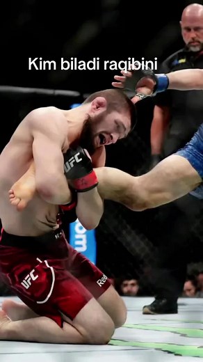 Exciting MMA Action Inside the Octagon