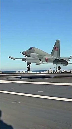 F-5 Tiger II: High-Speed Agile Carrier Trap (One Take)