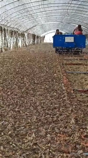 John Oberg on Instagram: "The industrialization and scale of factory farming is horrendous -- and this includes #insect farming. Ban this cruel madness. ❌"