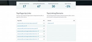 How to find website domain authority?
