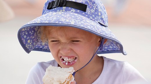 Wisconsin State Fair 2024: Dates, cost, discounts, carry-in policies and other need-to-know info