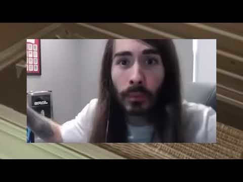 YTP: Cockroach Special (2025)