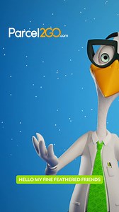 16 comments | Hello my fine feathered friends! Join the millions of businesses sending parcels with us! Compare save & go! | Parcel2Go.com | Facebook